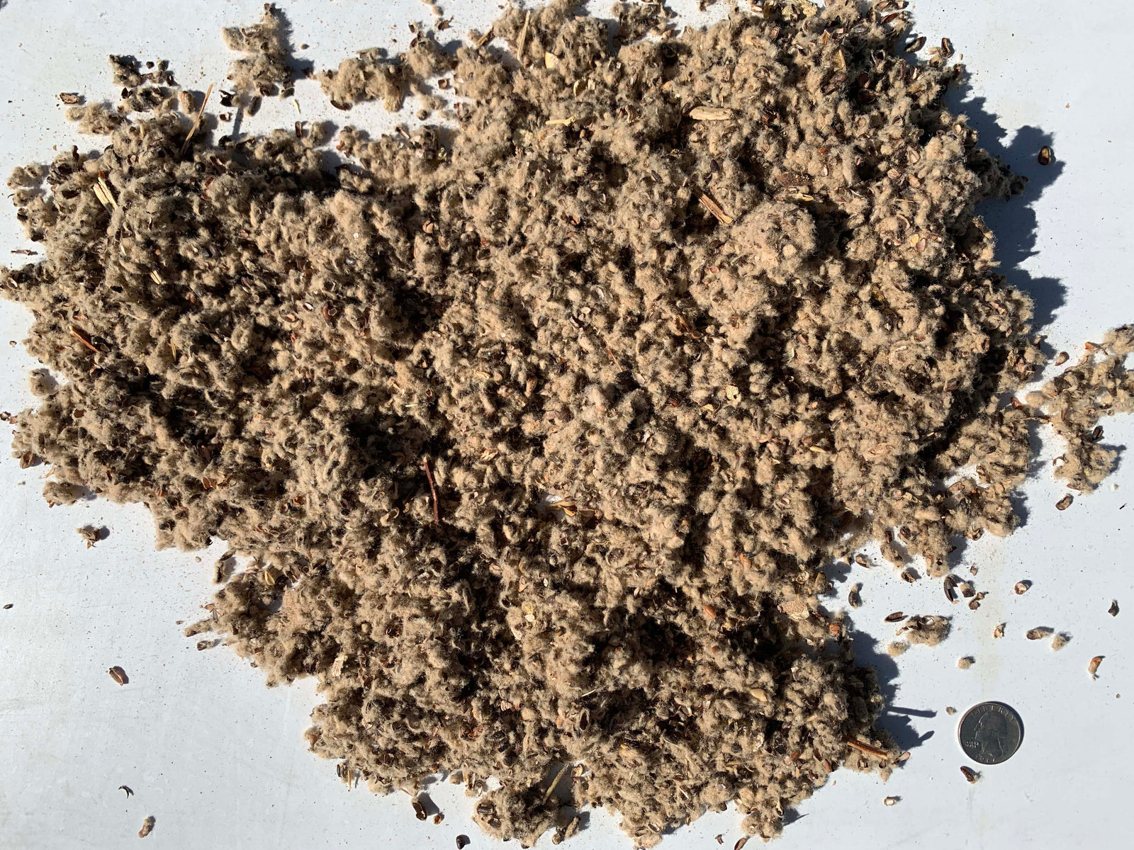 Cotton Seed Hulls, Landscape, Garden Amendment, 1 Cubic Foot